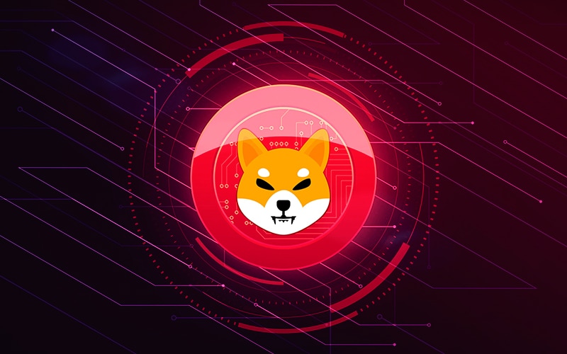 Shiba Inu Memecoin Launches ‘.shib’ Web3 Domains For Users | The Crypto ...