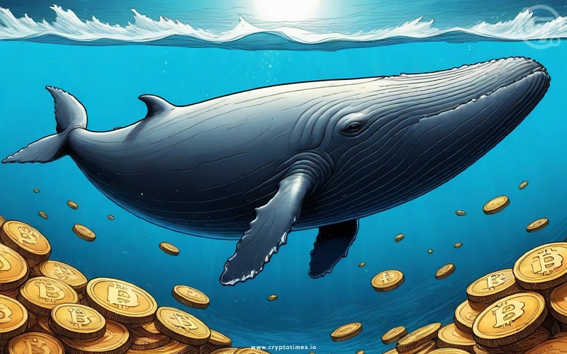 Bitcoin Whales Accumulate Pre-Halving, Signaling Price Surge Bitcoin Whales Accumulate Pre-Halving, Signaling Price Surge