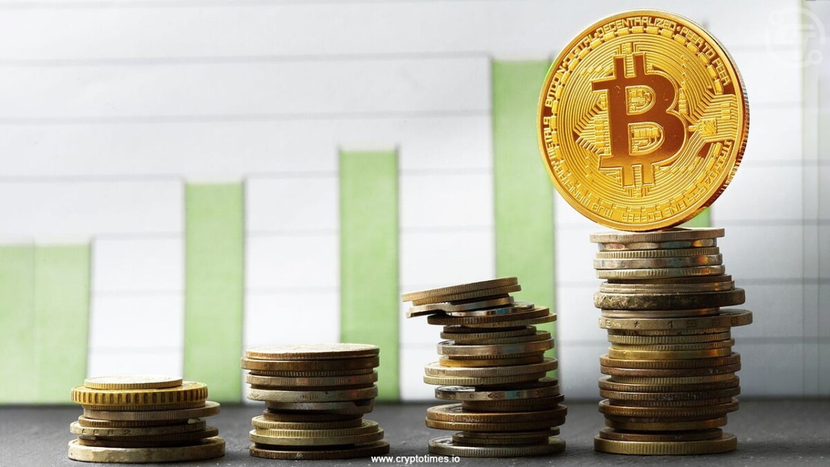 Businesses Reinvest 22% of Profits Into Bitcoin: River Reports