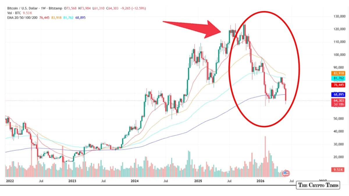Bitcoin Price Tumbles 50% from All-Time High – Is This the Bottom or ...