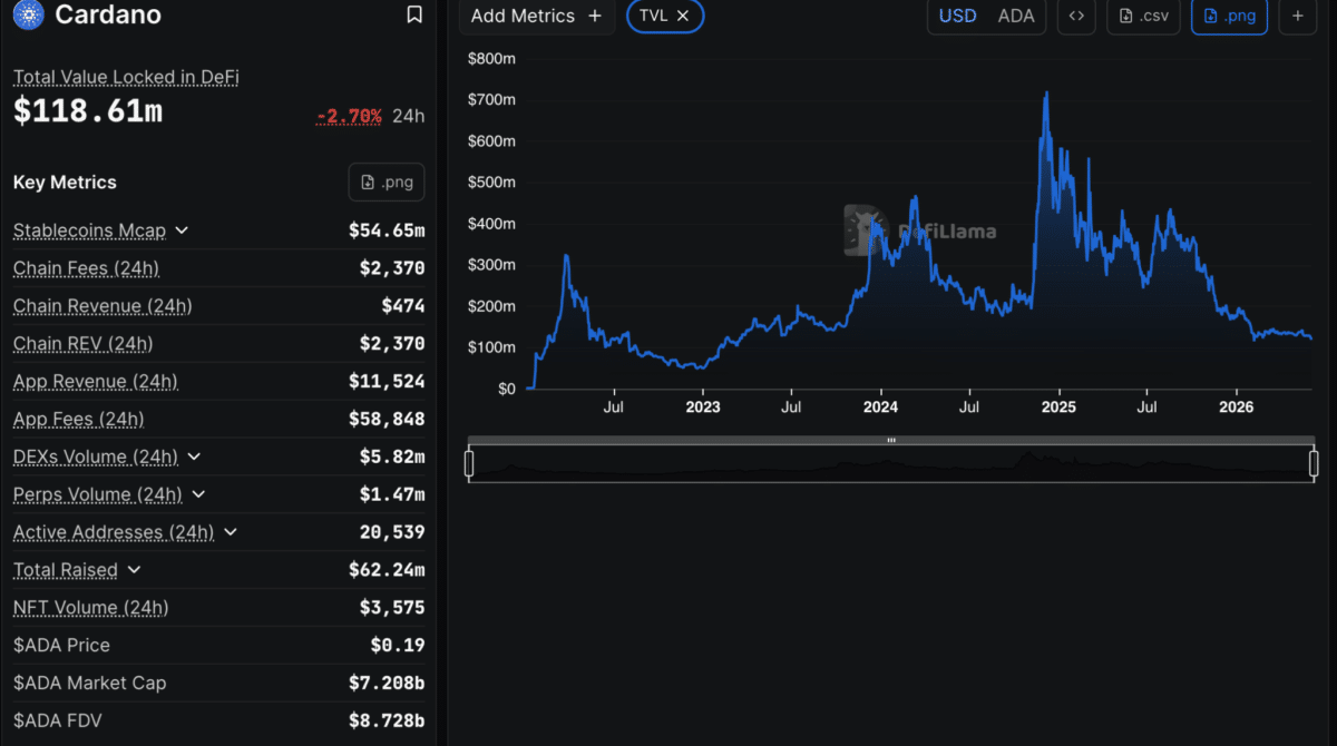 Cardano Founder Hoskinson Steps Back, ADA Plummets Past $0.20